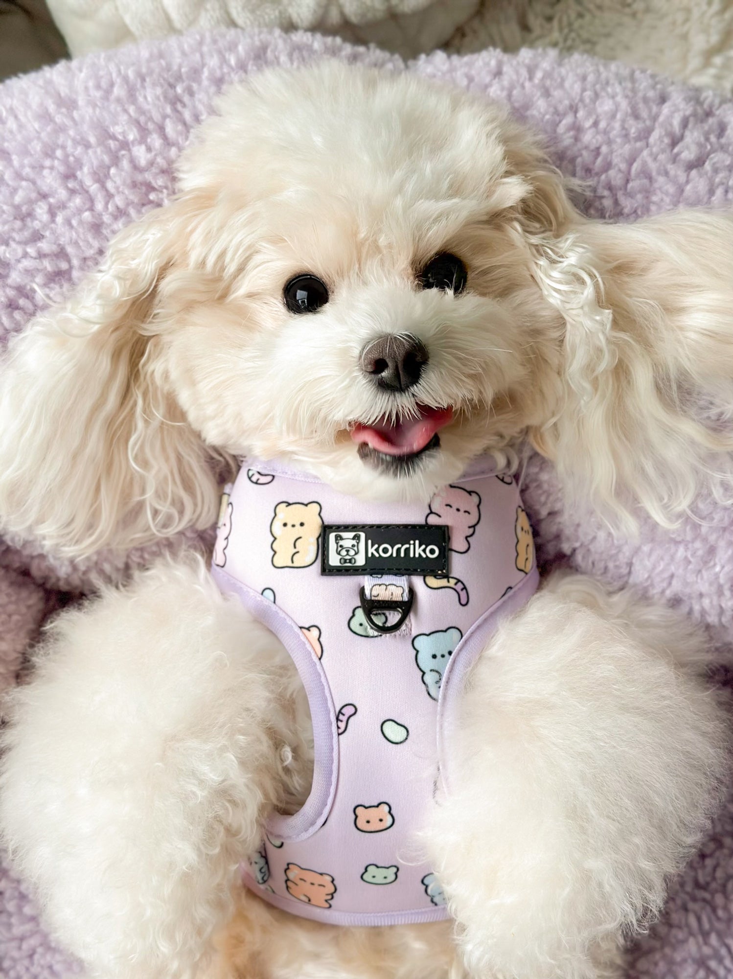 Korriko Pet Supply - Dog Harnesses, Collars, Leashes, Apparel + More